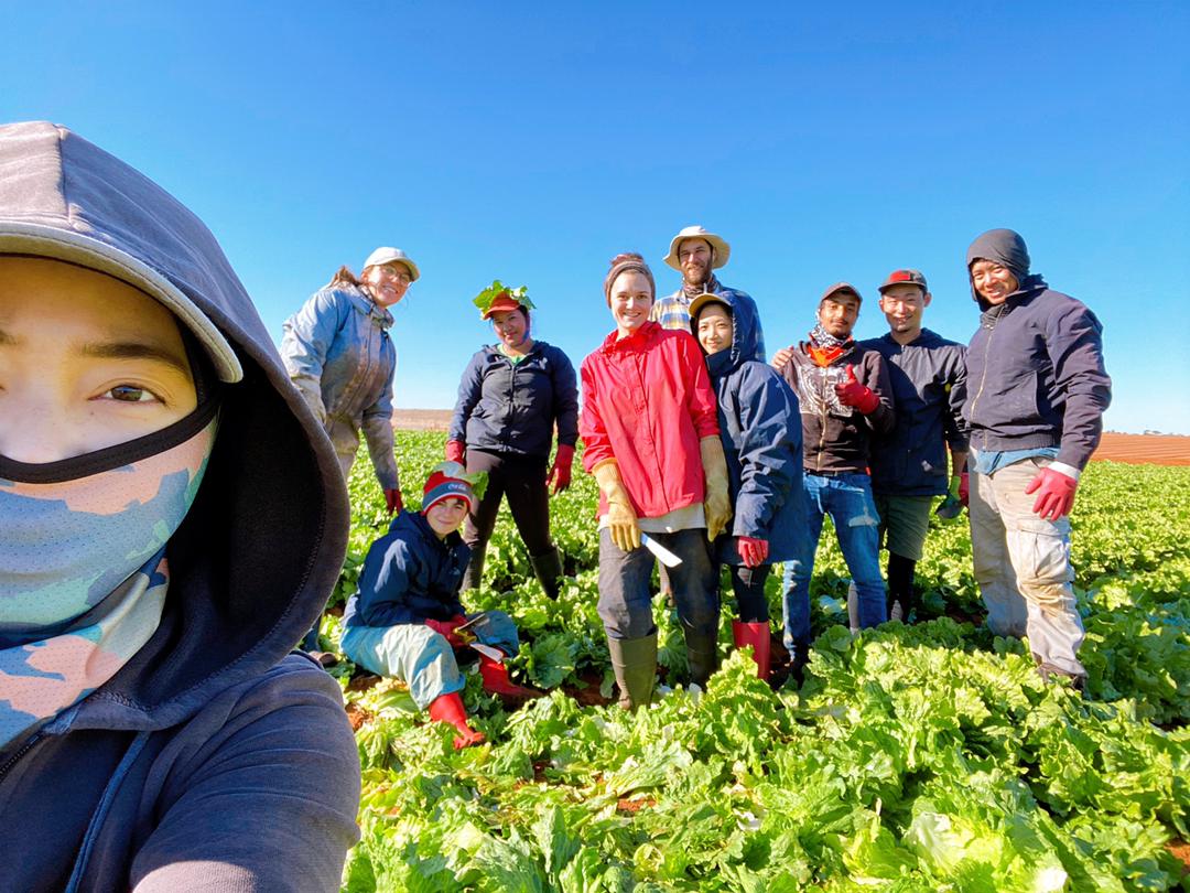 Redgold – Horticultural Farm